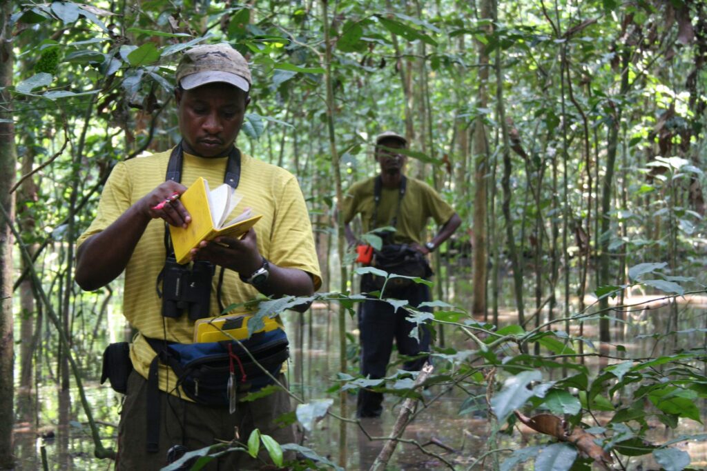 Species Identification - CONGO-APES